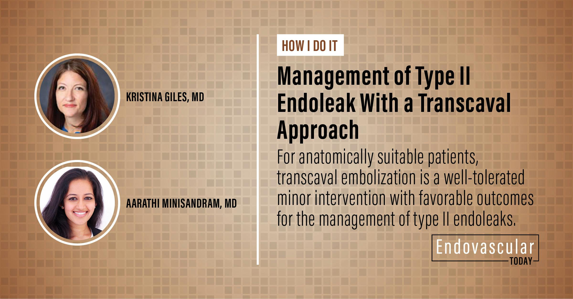 How I Do It Management Of Type Ii Endoleak With A Transcaval Approach